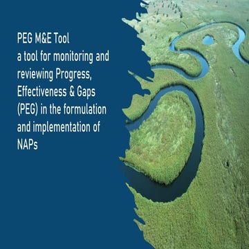 Progress, Effectiveness, and Gaps Monitoring and Evaluation Tool | PDF