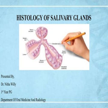 Mucus VS Serous | DOCX