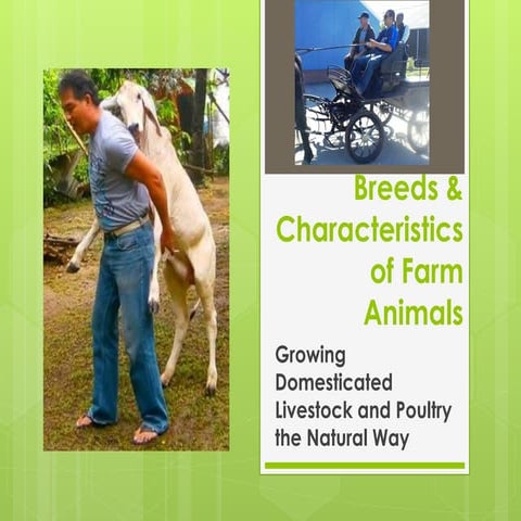 ORGANIC AGRICULTURE PRODUCTION NC 2 Farm Animals.pptx