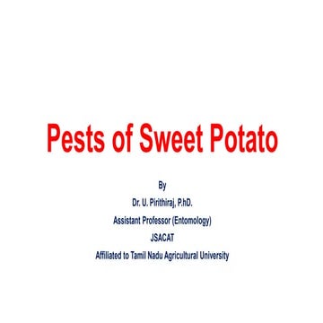 Pests of Sweet Potato_Identification_IPM_Dr.UPR.pdf