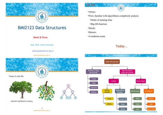 Trees In Data Structures Ppt 4634