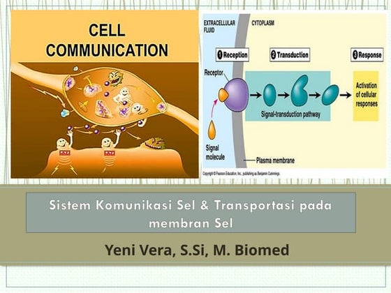 Komunikasi sel | PPT