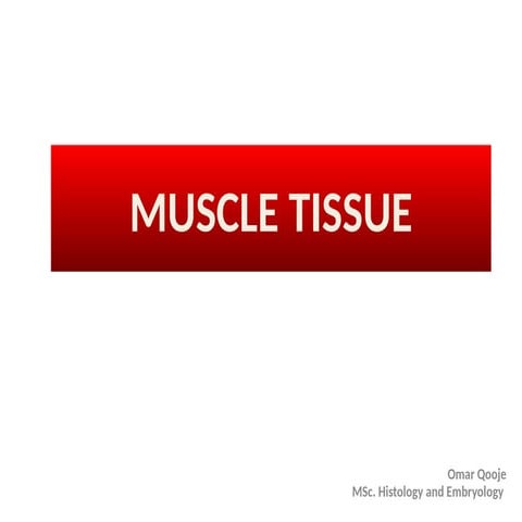 8. Muscle tissue one of the core topics in physiology. | PPTX