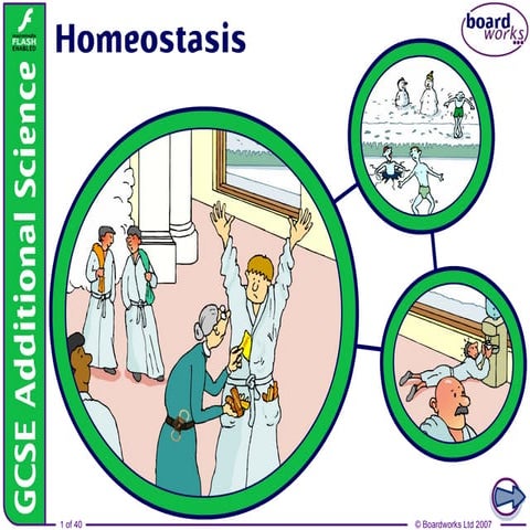 8. Homeostasis v1.0.ppt boardworks powerpoint | PPT