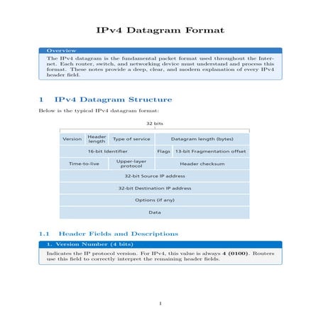 IPV4 Frame Format | PPT