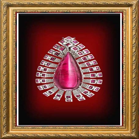 Comprehensive Immune System Review: Human, Animal, and Plant Defenses ...