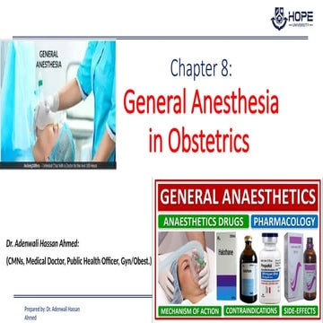 Comprehensive Exploration of the Twelve Cranial Nerves: Structure ...