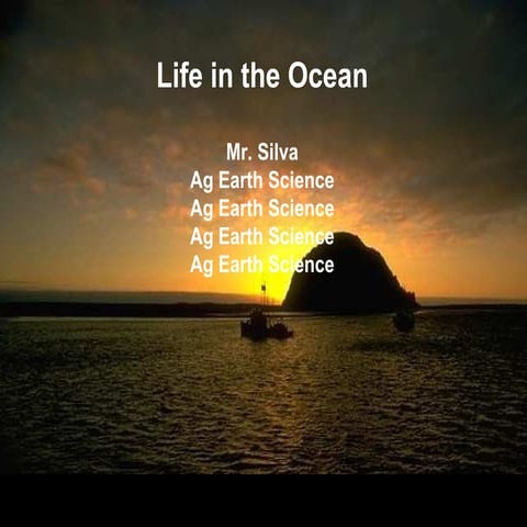 8.2 life in the ocean | PPT