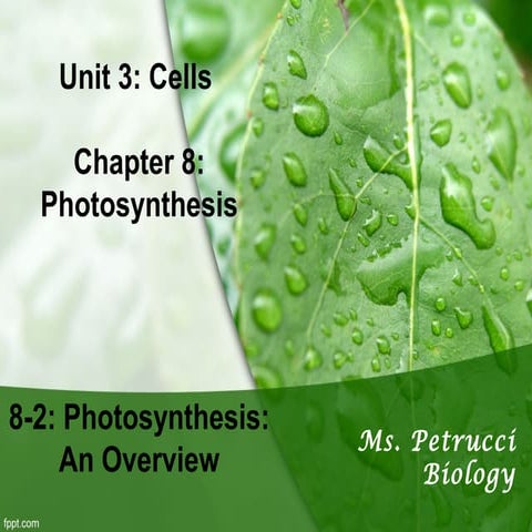 Photosynthesis (class 10) | PPTX