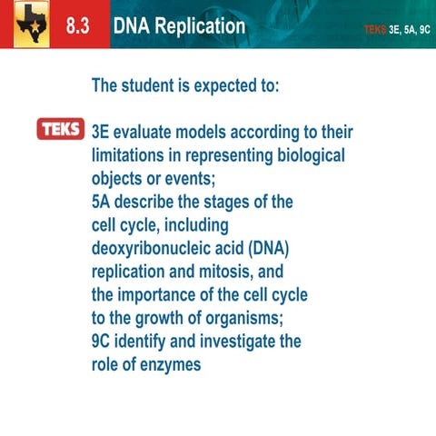 DNA REPLICATION NOTES FOR HIGH SCHOOL BIOLOGY | PPT