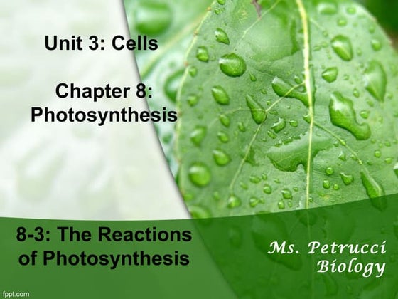 grade 9 -Photosynthesis Power point Presentation | PPTX | Chemistry ...