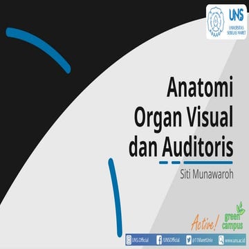 [8]-Anatomi Organ Visual dan Auditoris-dr Siti Munawaroh.pptx