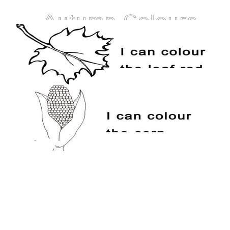 Autumn colours | DOC | Weather | Science