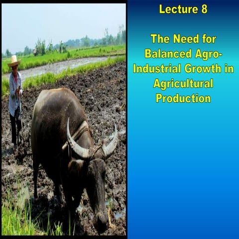 The Need for Balanced Agro-industrial Growth in Agricultural Production ...
