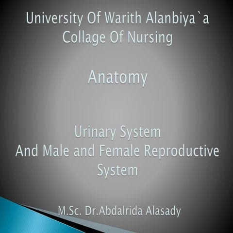 8-Male and Female Reproductive System.pptx