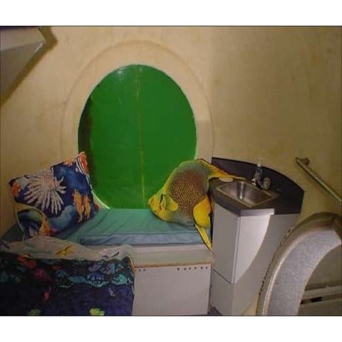 8 Really Strange Hotel Rooms | PPT