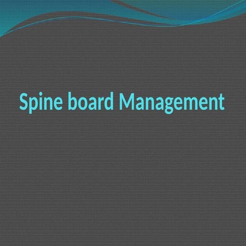 8-Spine-board-Management disaster risk.pptx