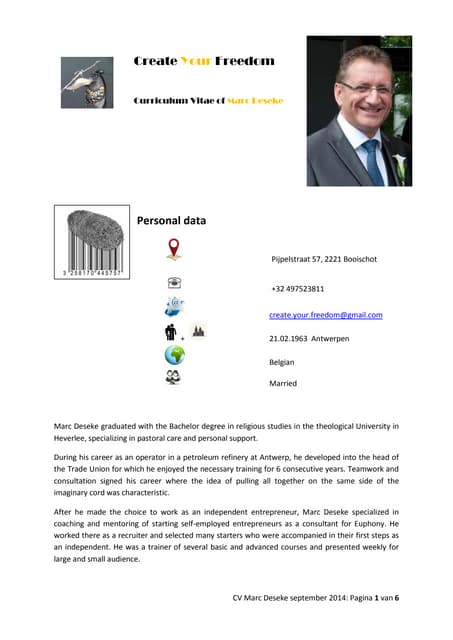 cv Dirk Vandereyken English | PDF
