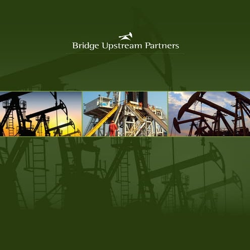 BUP Brochure - singles | PDF