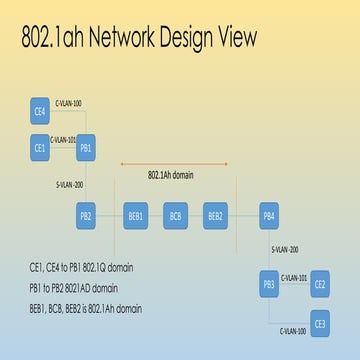 802.1ah Network & Packet : My view | PDF