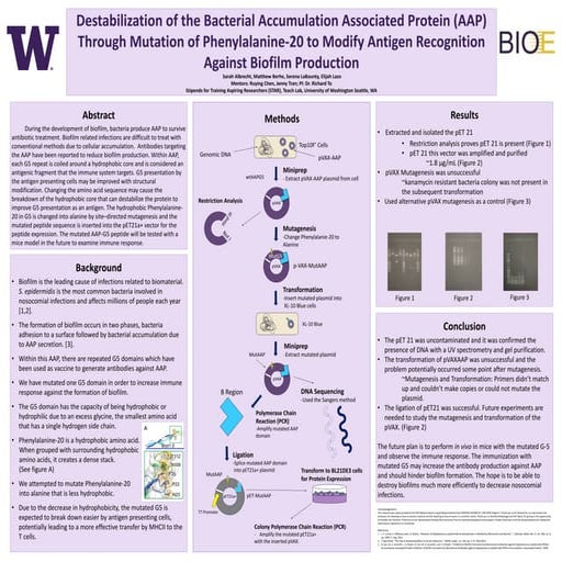 AAPG5 Project 1 | PPT