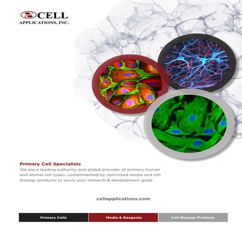 Cell Applications Inc Brochure 2017 | PDF