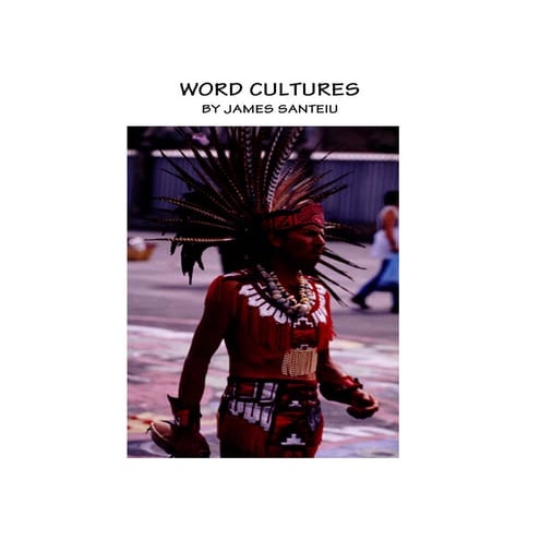 WORD CULTURES Lesson Plan | PDF