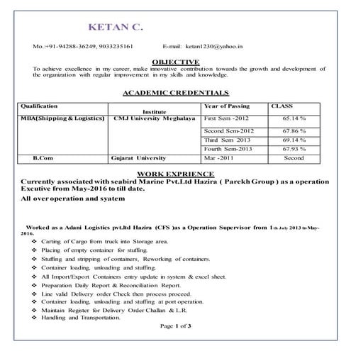 Curriculum Vitae | DOCX