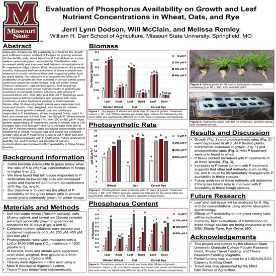 Poster Presentation 2016 | PDF