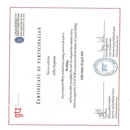 Plumbing Certificate | PDF