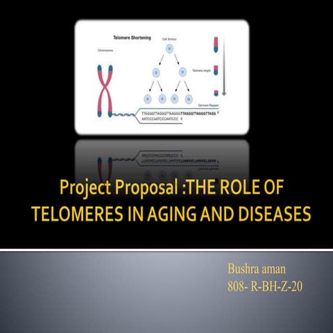 808( project proposal) for the assignment | PPTX