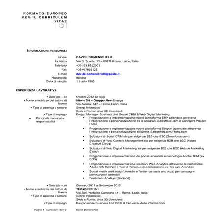 Curriculum vitae | DOCX