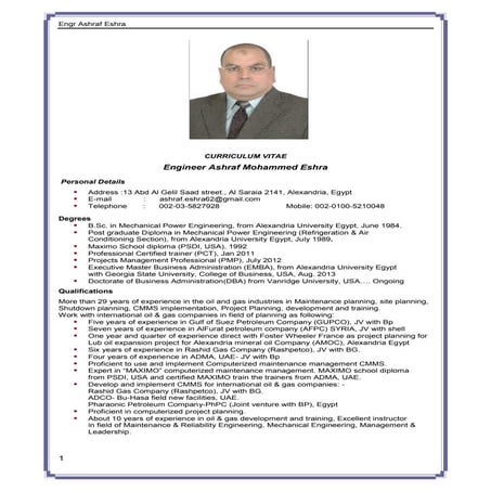 CV Engr Ashraf_Eshra_English Summery | PDF