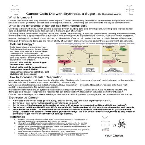 Cancer cell metabolism | PDF