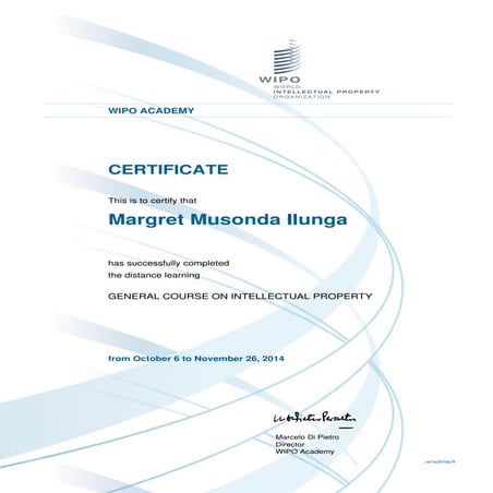 CERTIFICATE IN INTELLECTUAL PROPERTY | PDF