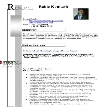 Rabie Updated CV | PDF