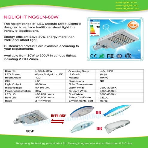 80W LED Street Light parameter | PDF
