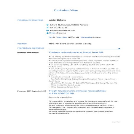 CV Adrian Ciobanu | PDF | Air Travel | Travel Type