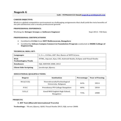 Curriculum Vitae Ayman | PDF