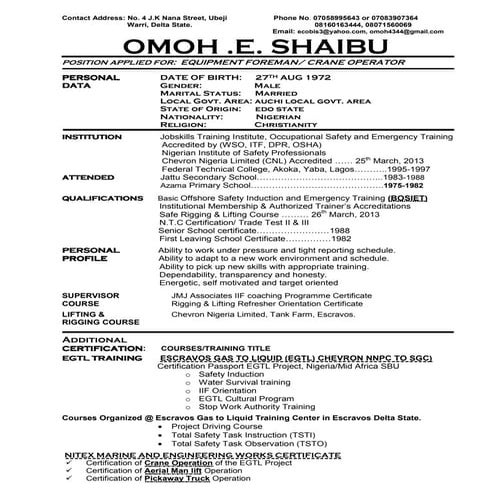 omoh cv | PDF