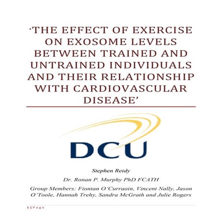 Final Year Project - Stephen Reidy | PDF