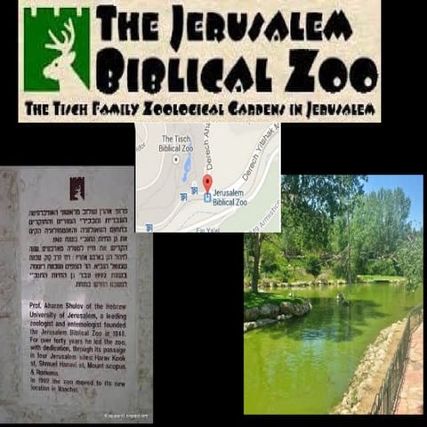 813 biblical zoo | PPS