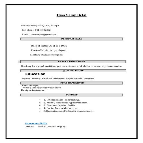 CV ahmed | DOC
