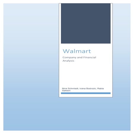 Walmart_Financial Analysis_final version | PDF