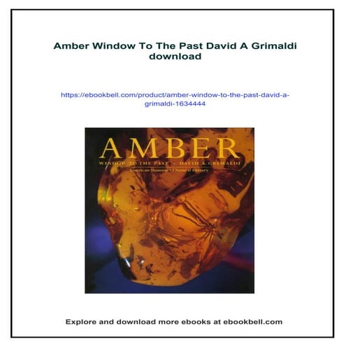 Amber Window To The Past David A Grimaldi | PDF
