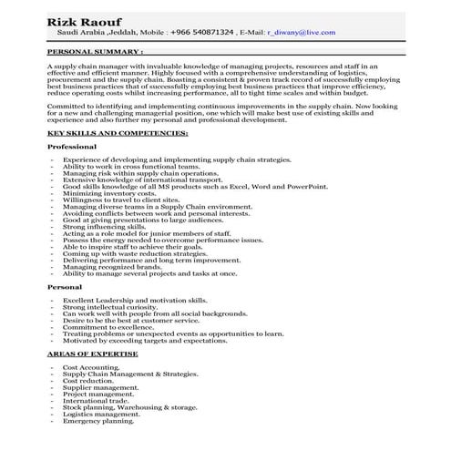 Rizk Raouf CV | PDF
