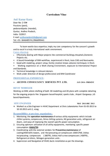 CV_ BIM Revit Mep Modeler & Draftsman | DOCX