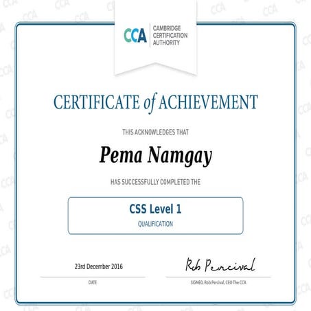 CCA-Certificate-CSS Level 1 | PPT