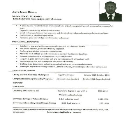 James Besong CV | PDF
