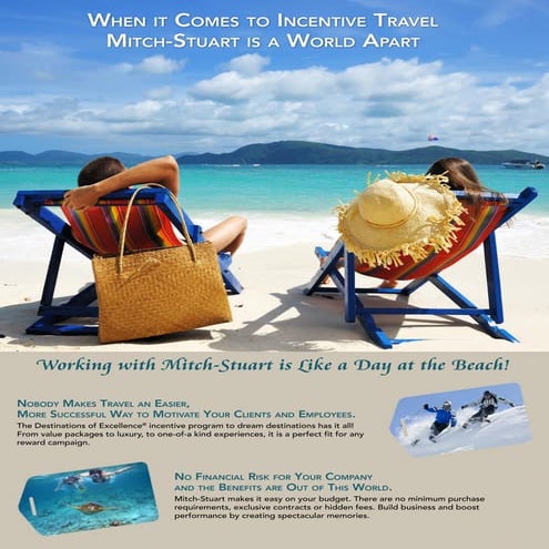 MSI Business Brochure | PDF